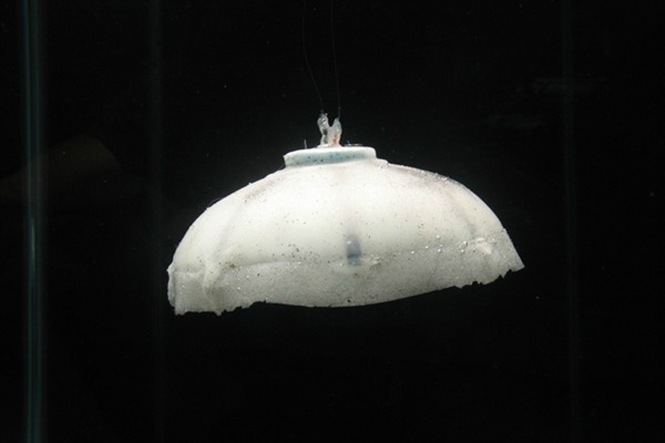 RoboJelly, una medusa artificial inmortal