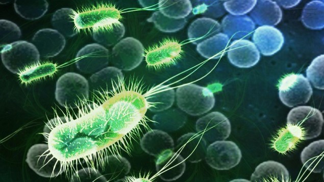 Baterías microbianas que crean electricidad a partir de aguas residuales