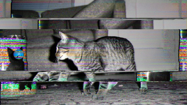 11 "broken GIFs" que vale la pena ver