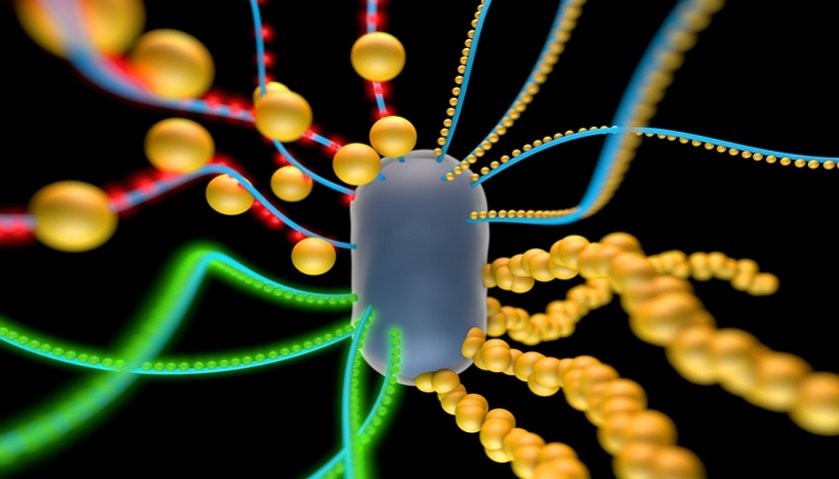 Materiales híbridos a partir de bacterias