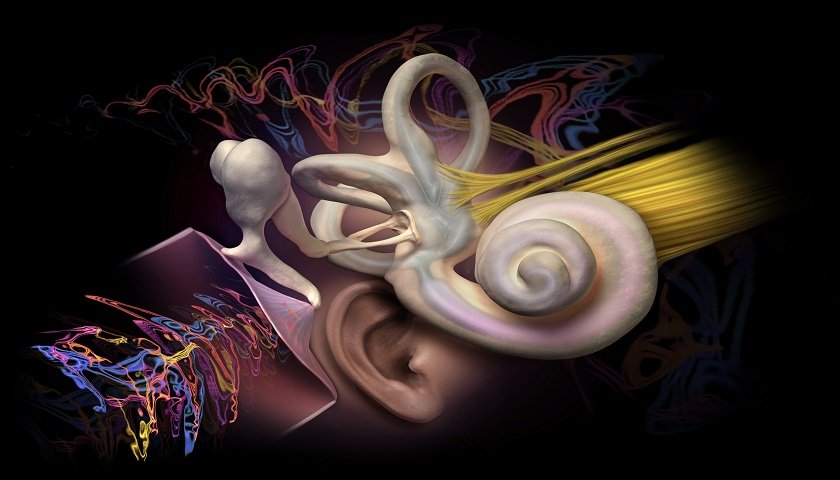 El implante de este microchip ayuda a recuperar la audición