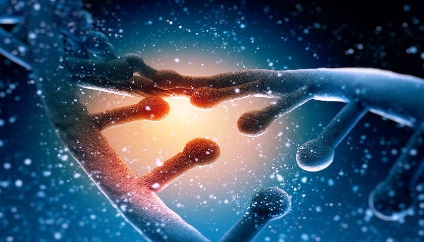 Ondas de sonido en el ADN son esenciales para la vida