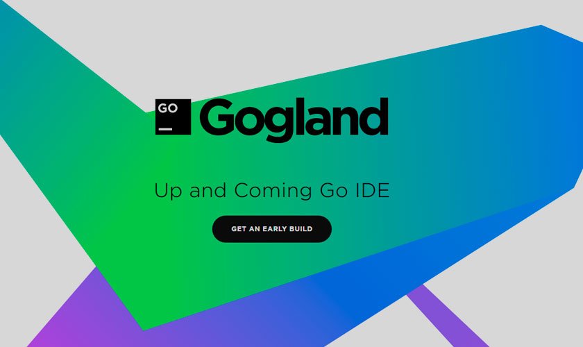Nuevo entorno de programación para el lenguaje Go