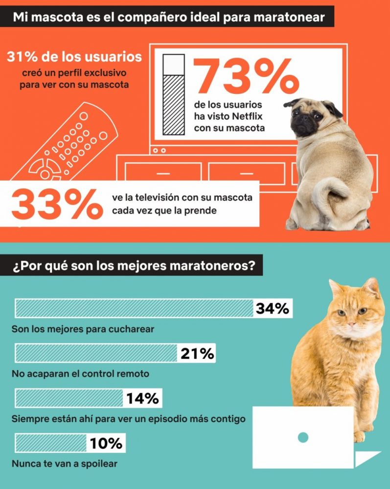 Mascotas: la mejor compañía para ver series en Netflix, revela encuesta