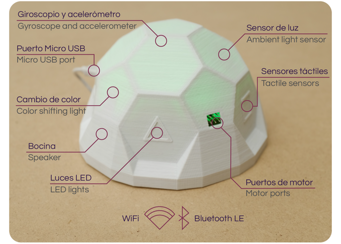 Conoce a Bucky, el robot mexicano para combatir la brecha digital