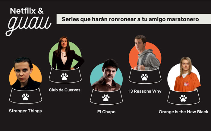 Mascotas: la mejor compañía para ver series en Netflix, revela encuesta