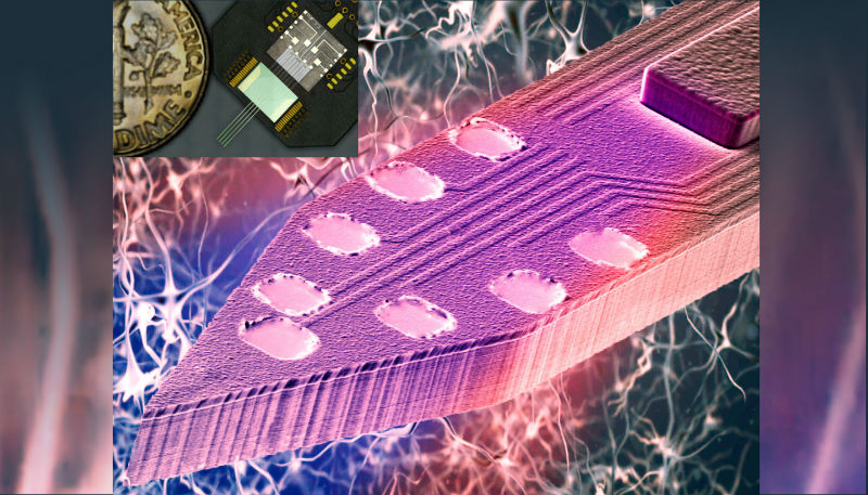 Optogenética: Controlando las neuronas con luz