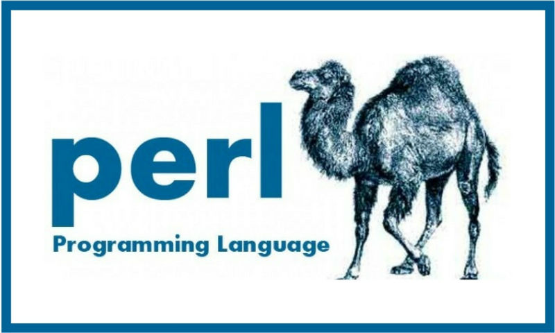 Perl por fin está disponible para la web