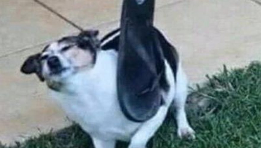 𝐟𝐚𝐫 𝐟𝐫𝐨𝐦 𝐡𝐨𝐦𝐞