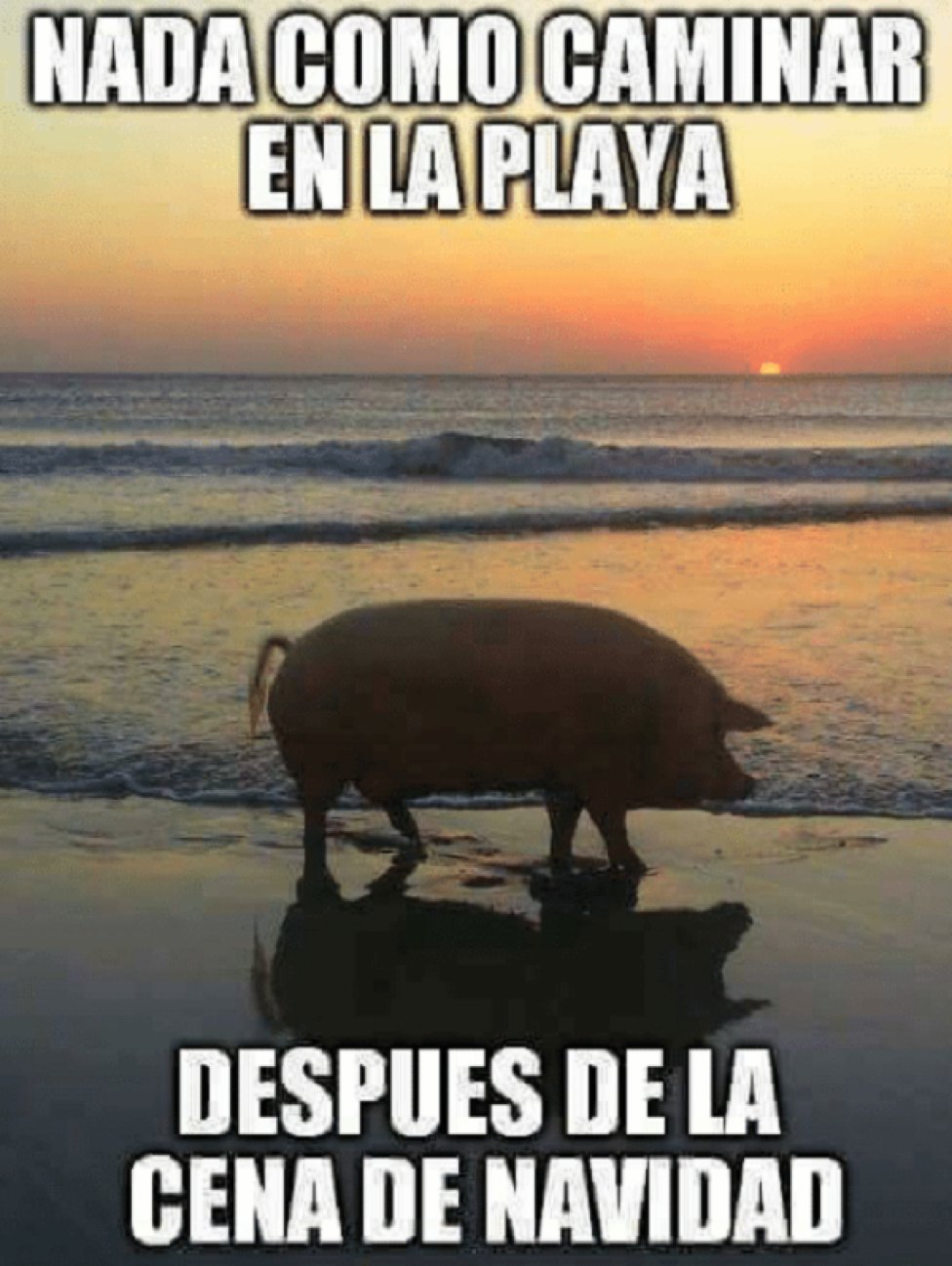 #Viraland Celebremos el espíritu de estas fechas con los mejores memes ...