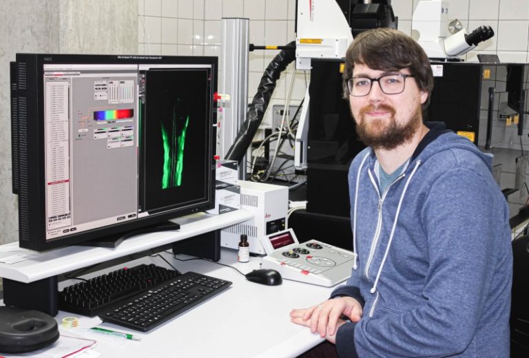 Científicos descubren una regeneración extraordinaria de neuronas ...