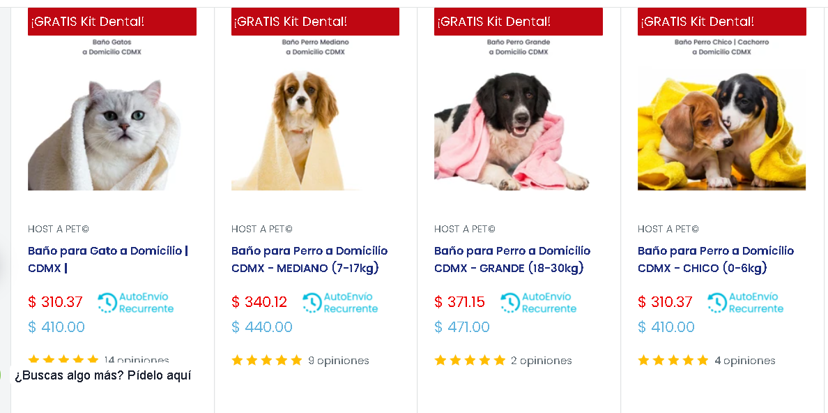 unocero - Petzer, la nueva plataforma 6 en 1 para amantes de sus mascotas