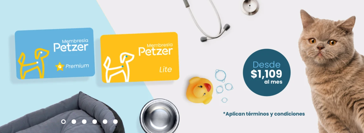 unocero - Petzer, la nueva plataforma 6 en 1 para amantes de sus mascotas